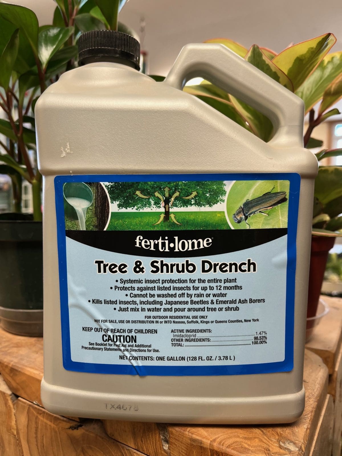 Tree Borers - Backbone Valley Nursery