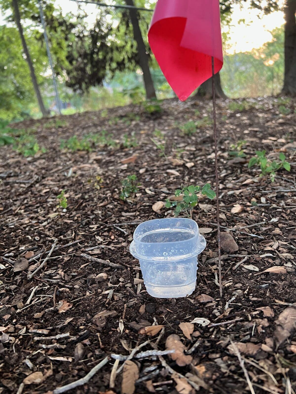 Lawn Irrigation Made Simple - Backbone Valley Nursery