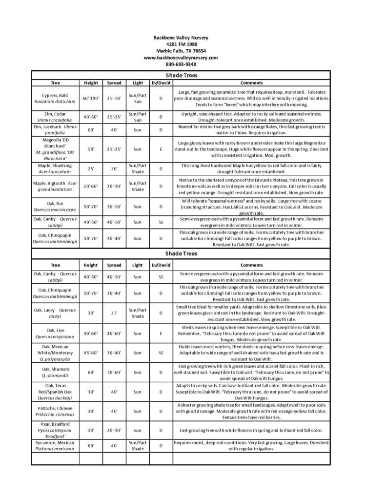 2022 shade trees - Backbone Valley Nursery