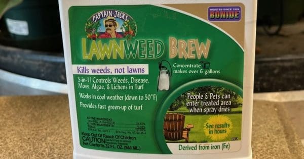 Weed Control with Captain Jack's Deadweed Brew and Lawnweed Brew ...