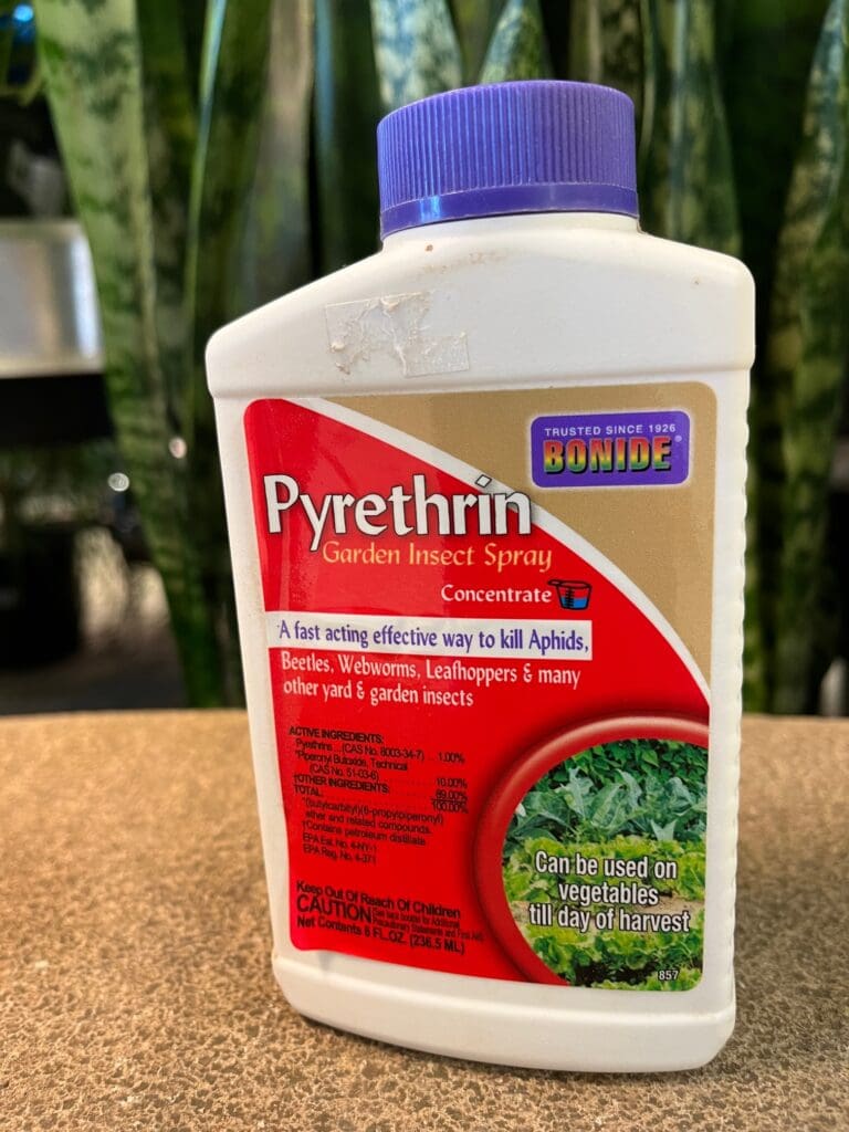 Aphids - Backbone Valley Nursery