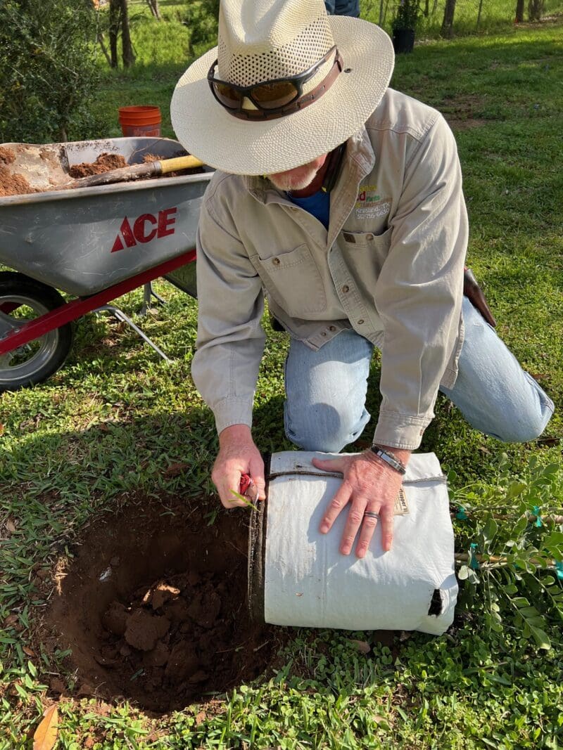 Planting a Grow Bag Texas Mountain Laurel - Backbone Valley Nursery